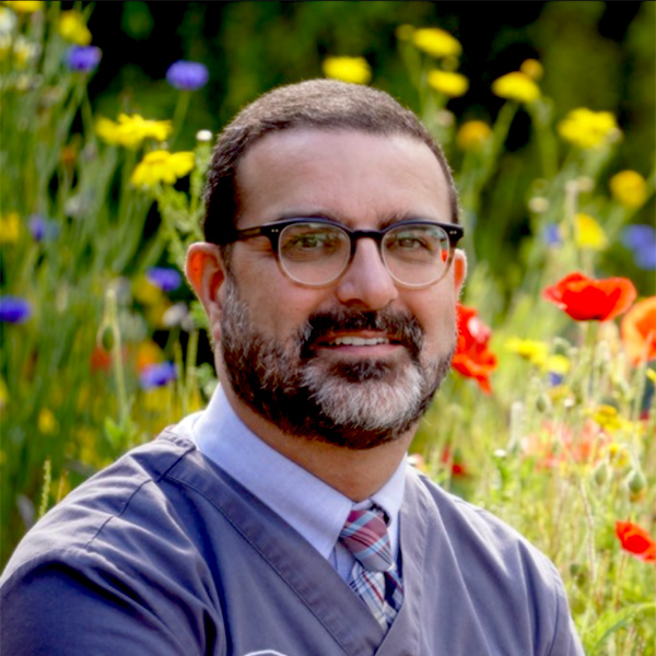 Upcoming In-Person CE Meeting — Spring 2024 – SFVMA